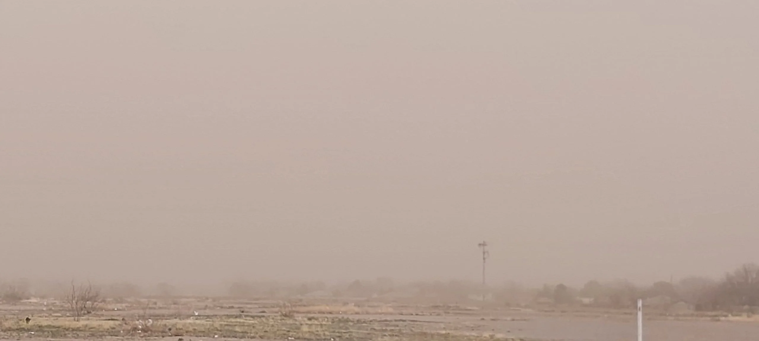 Dust storm in New Mexico causes 21-car pileup, road closures near Roswell