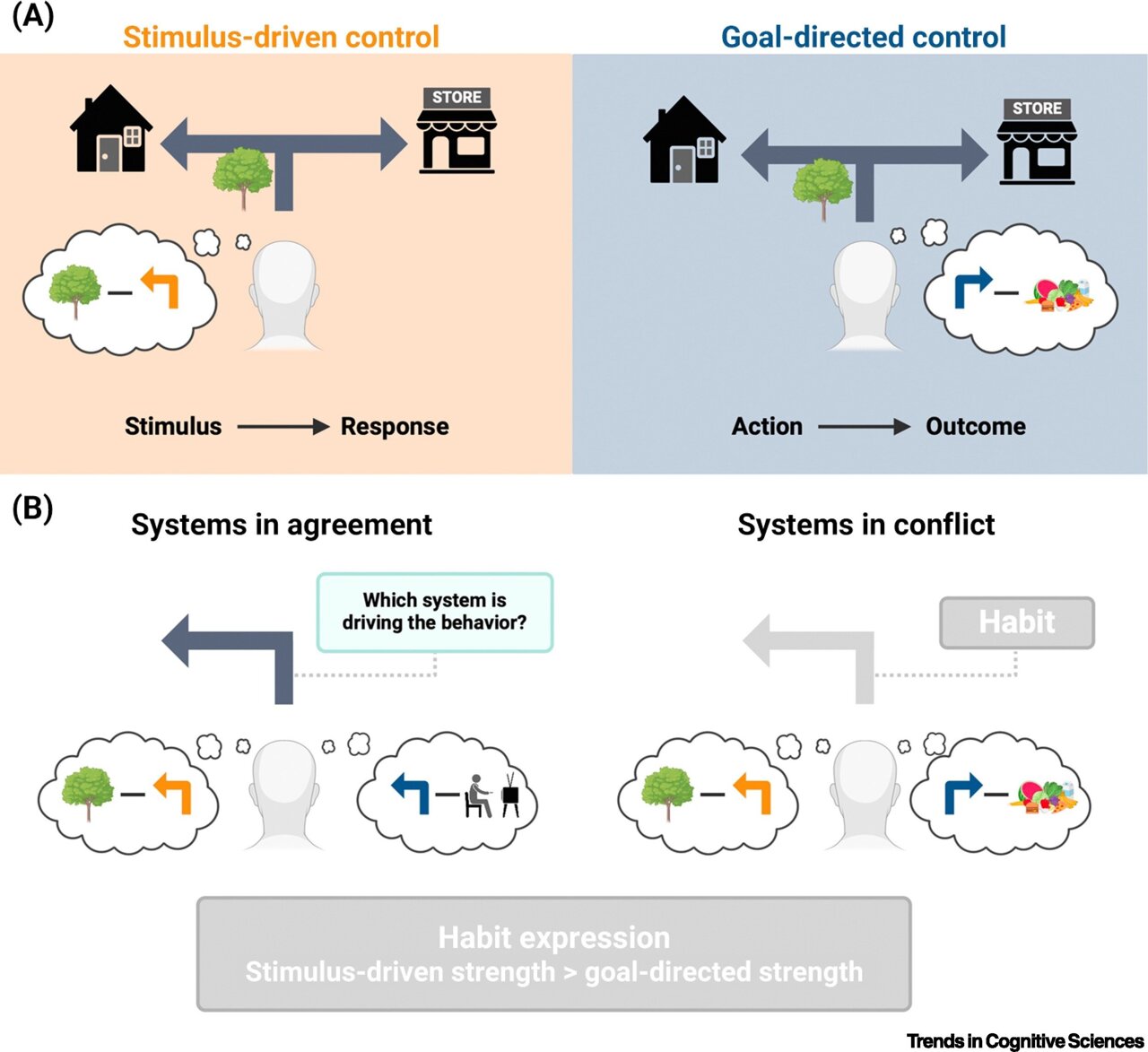 Five essential strategies to master your habits