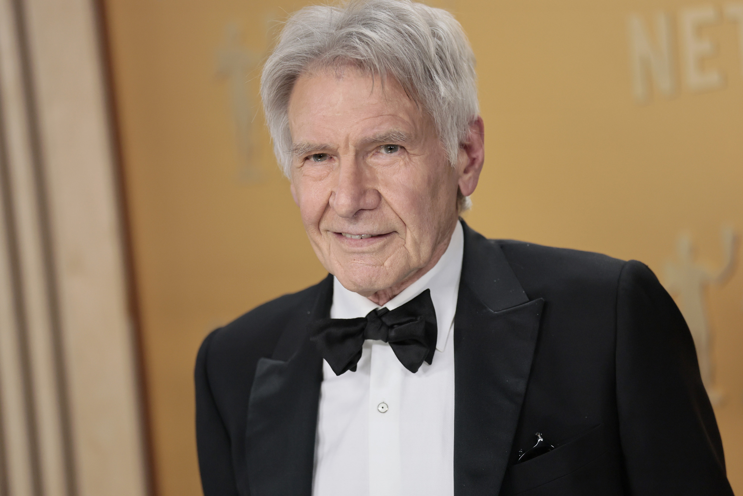 Harrison Ford's 'Shrinking' Costar Calls Actor, 82, 'Strongest Person ...