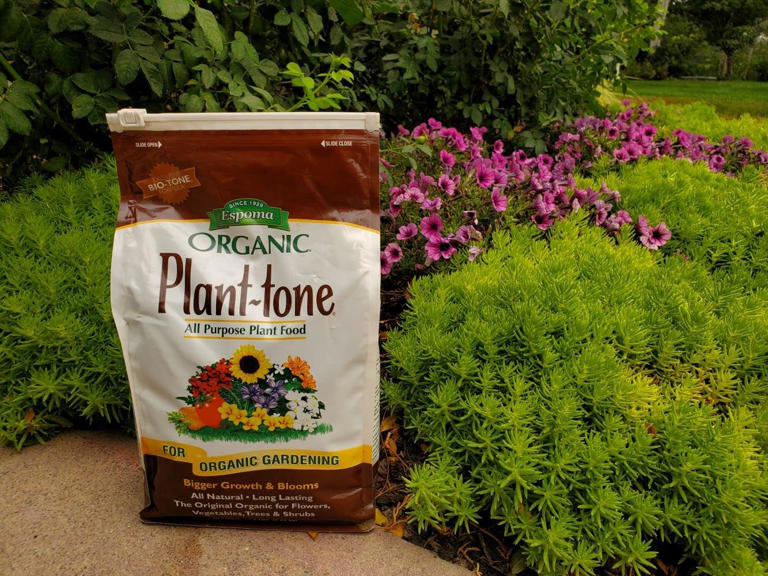 The Best Organic Fertilizers that Work on (Almost) All Plant Types