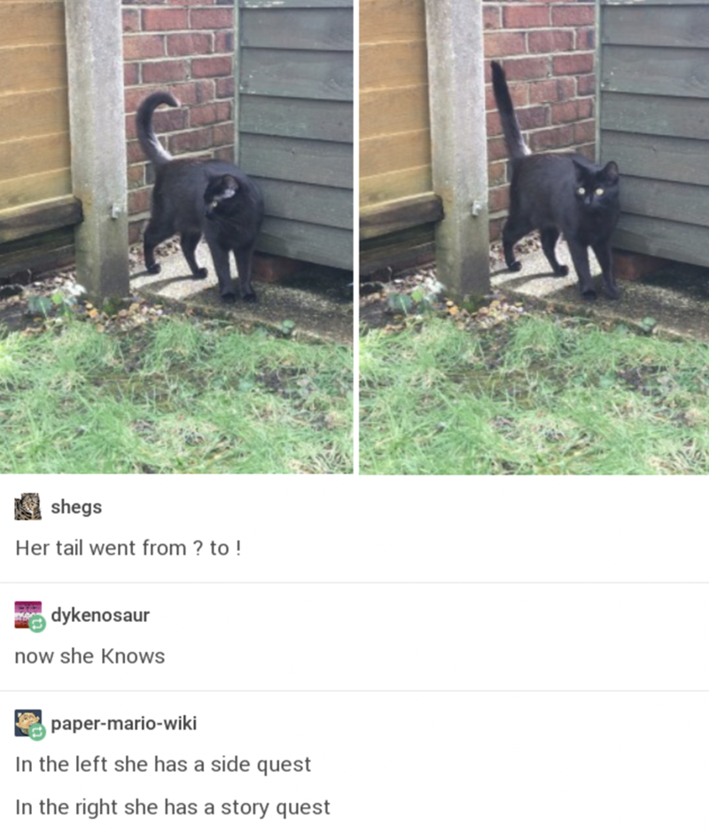 'That Makes Sense' - 42 Examples of Absurd Video Game Logic