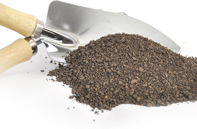 The Best Organic Fertilizers that Work on (Almost) All Plant Types