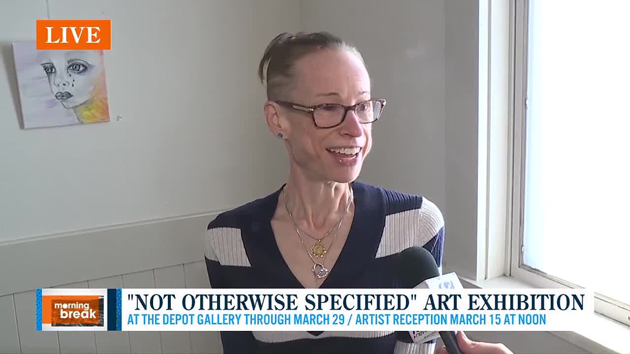 Sam Meehan opens “Not Otherwise Specified” art exhibit at the Depot Gallery