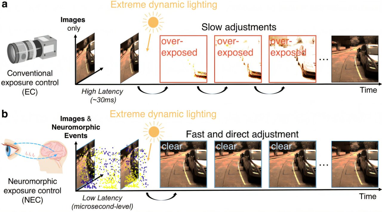 Neuromorphic system enhances machine vision in extreme lighting ...