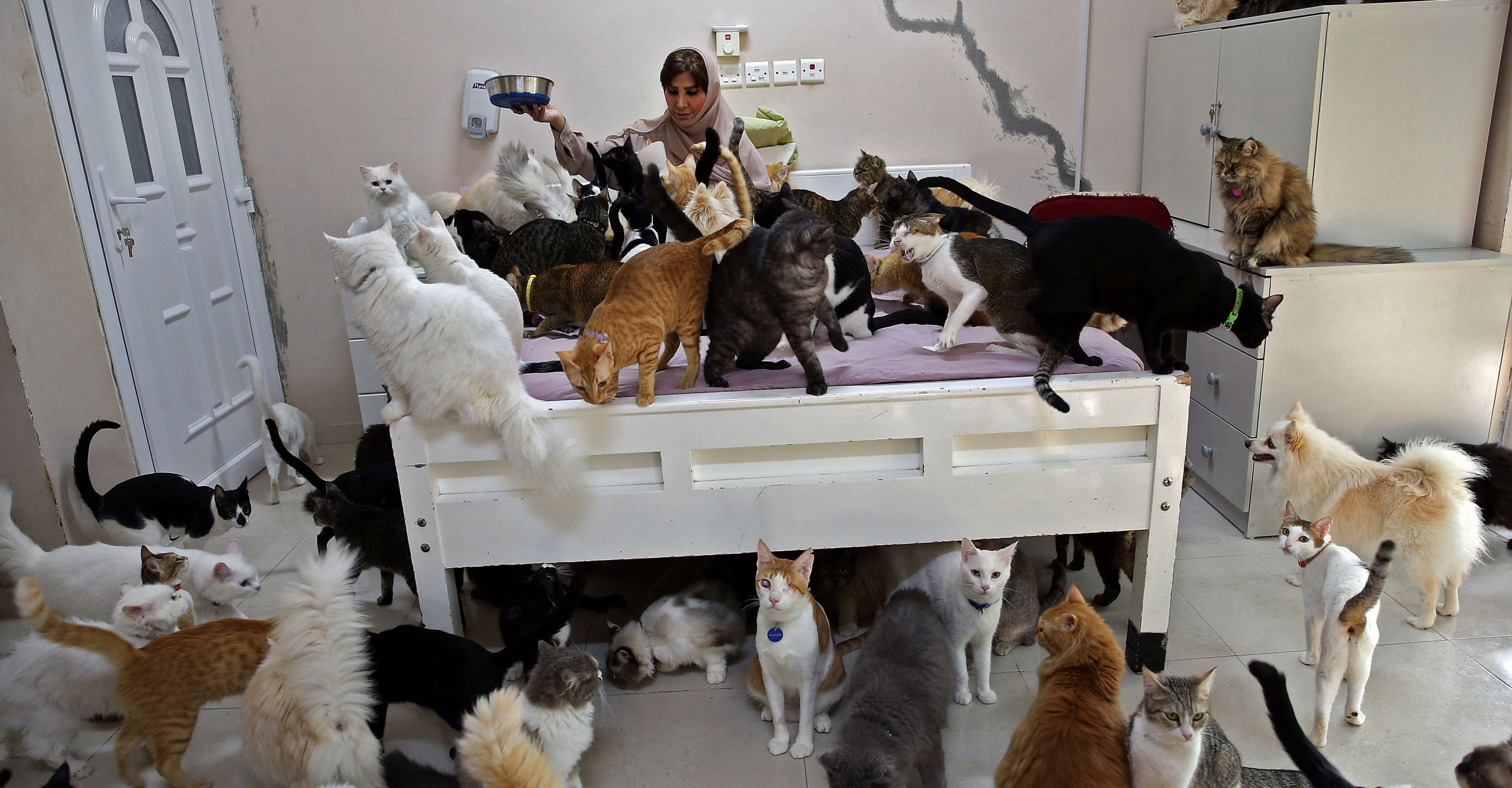 Specialists explain America's 'friend hoarding' trend