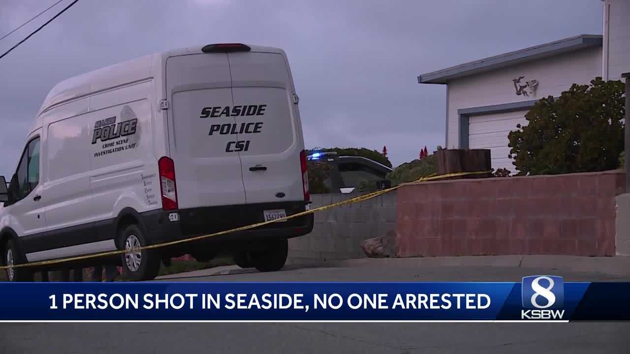 Minor shot in the head during suspected Seaside gang shooting, 1 arrested