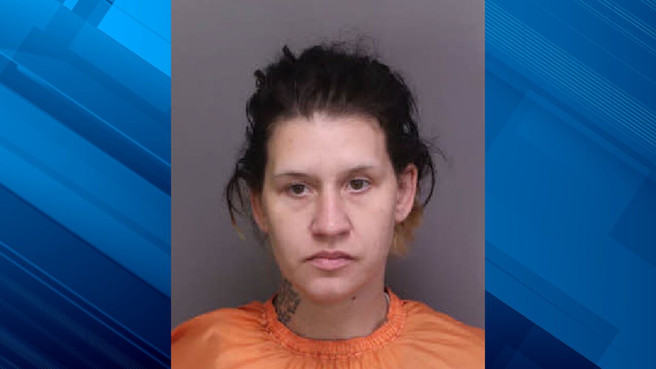 Pee Dee woman accused of abandoning child in freezing temperatures ...