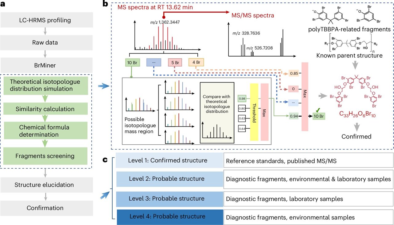 A chemical 'trojan horse': Polymers used in everyday products can ...