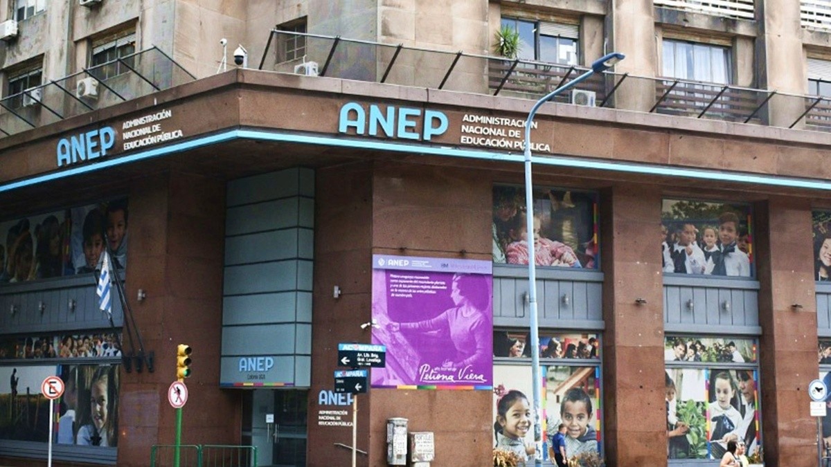 Llamado laboral en ANEP para chofer: requisitos, salario y detalles de ...