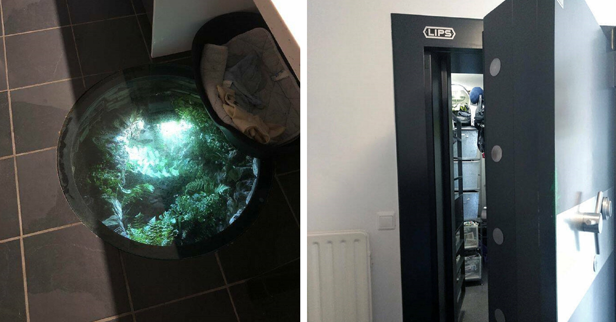 33 Cool Hidden Treasures People Discovered in Their Homes