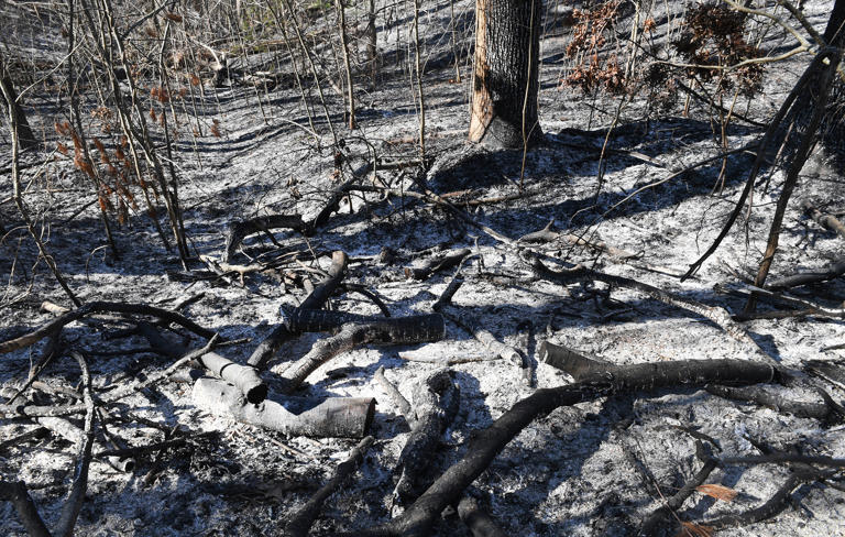 Wildfires in Western NC: See our interactive map