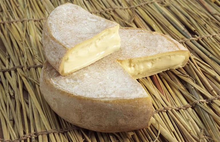 The world's most irresistible cheese: the ultimate list