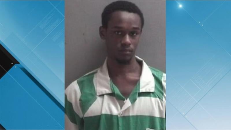 Bloods gang member sentenced to nearly four years in prison for illegal ...