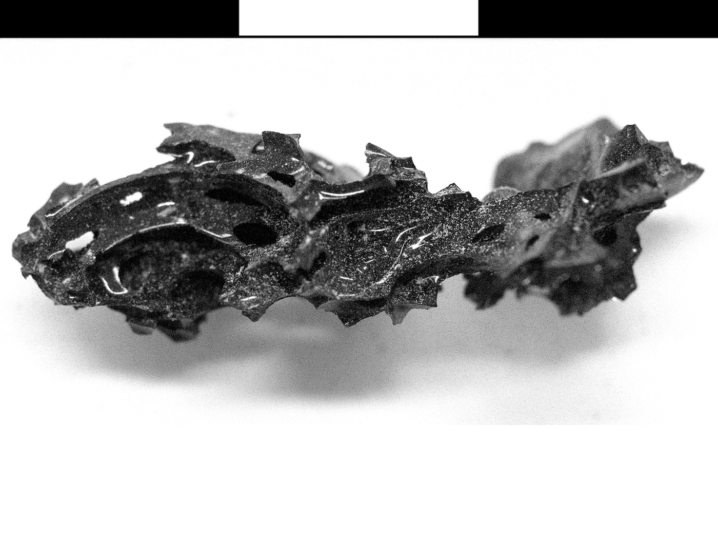 Vesuvius Turned a Roman Man's Brain Into Glass. Now, Scientists Reveal ...