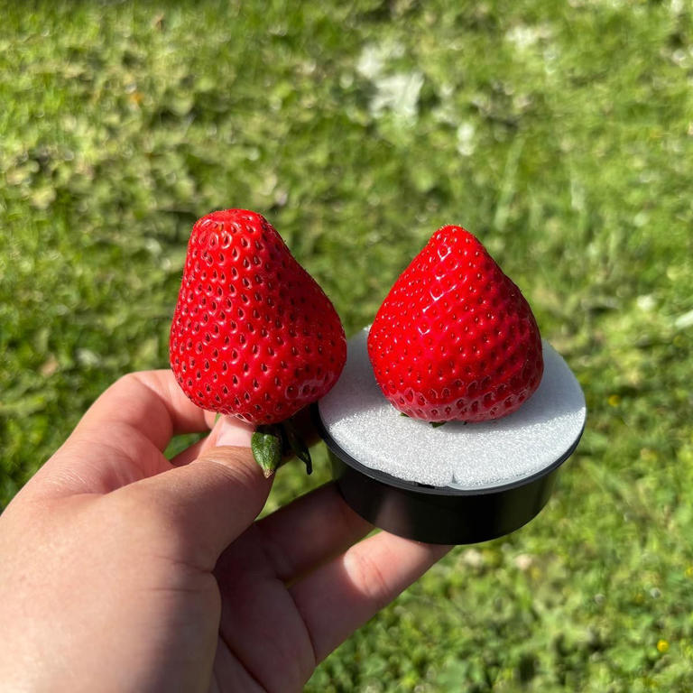I Tried the $19 Erewhon Strawberry and a Regular Strawberry—Here’s What ...