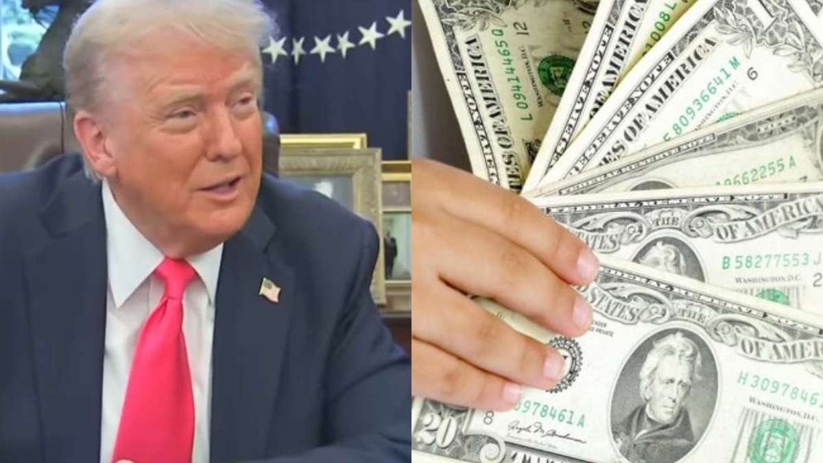 DOGE stimulus check is part of Trump administration's plan to save U.S ...