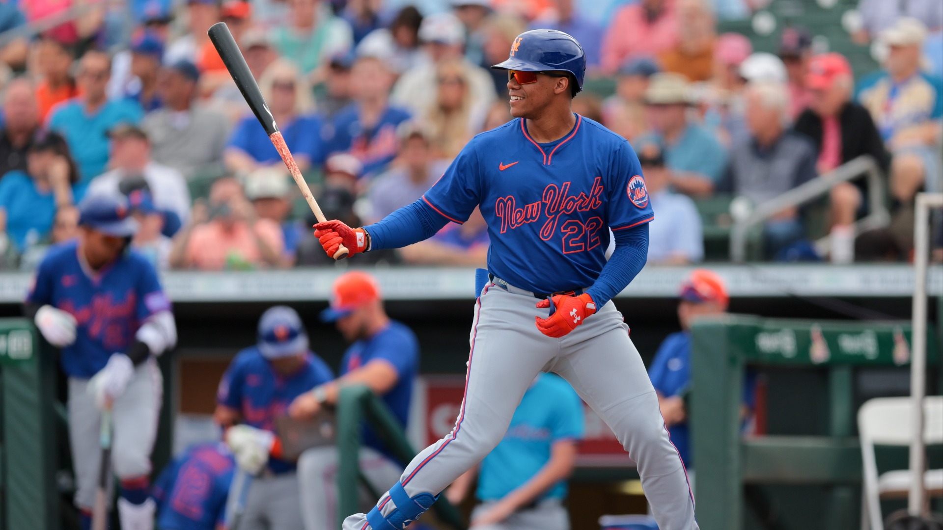 Analyzing 2025 MLB Division Race Odds & Team Prospects