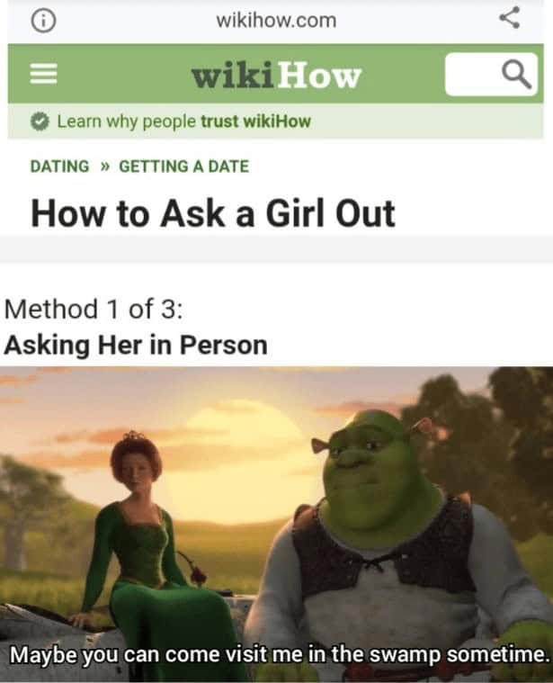 35 Funny Shrek Memes So Hilarious You'll Never Get Ogre Them