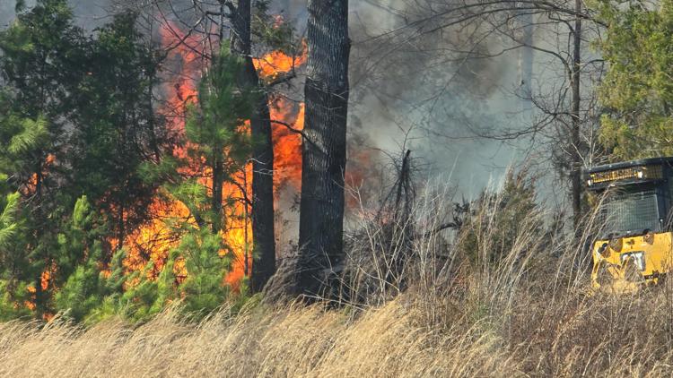 Georgia braces for intense wildfire season, officials say | Here's why
