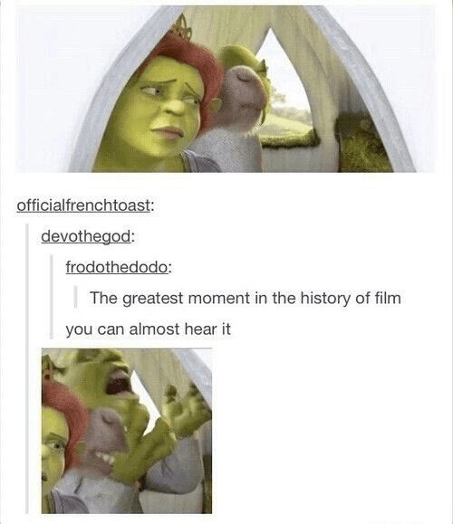 35 Funny Shrek Memes So Hilarious You'll Never Get Ogre Them