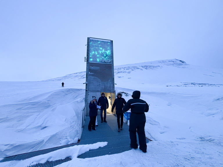 'Doomsday vault' takes another shipment of seeds