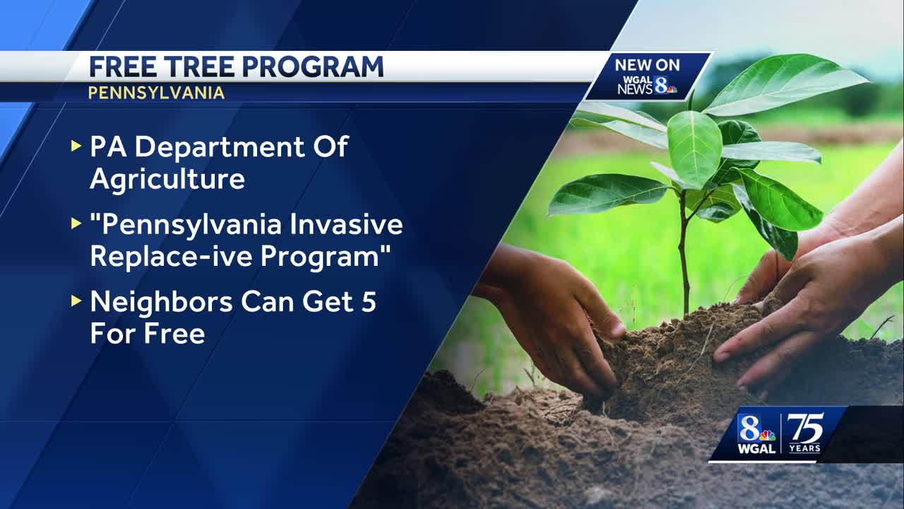 Pennsylvania to provide free trees to replace invasive species