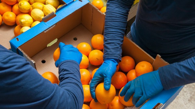 Florida snowfall could have surprising impacts on residents' lives: 'No ...