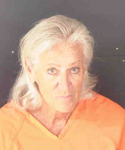 72-year-old woman arrested in hit-and-run that killed two children