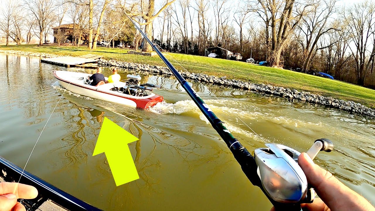 Interrupted Fishing: When Unexpected Guests End the Fishing