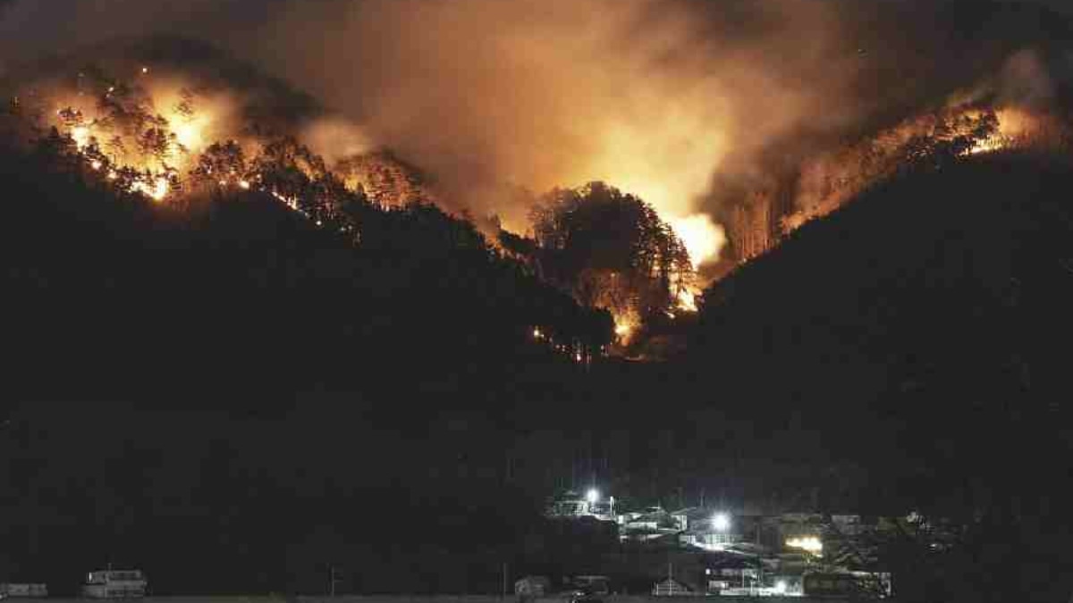 Japan Wildfire Scorches 5,200 Acres Of Forest, 1 Dead