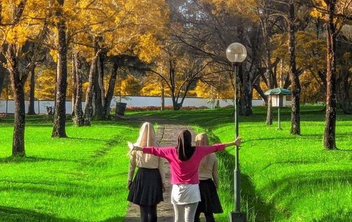 Harga Tiket Masuk Taman Bunga Nusantara yang Hits di Cianjur, Cek Promo ...