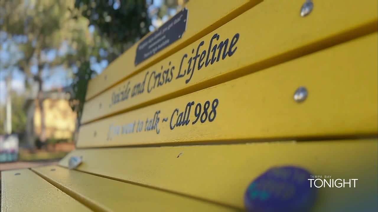 USF student brings a suicide awareness bench to the university's Greek ...