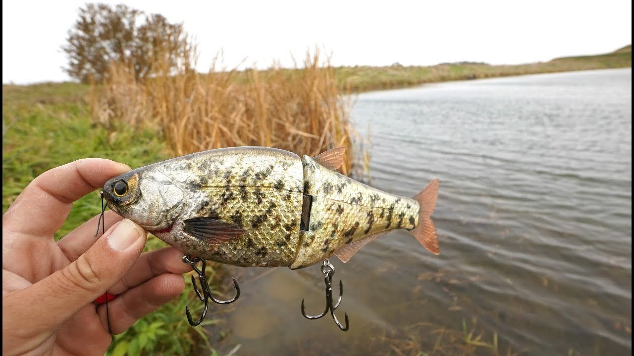 Predator vs. Prey: Bass Attack Oversized Swimbait