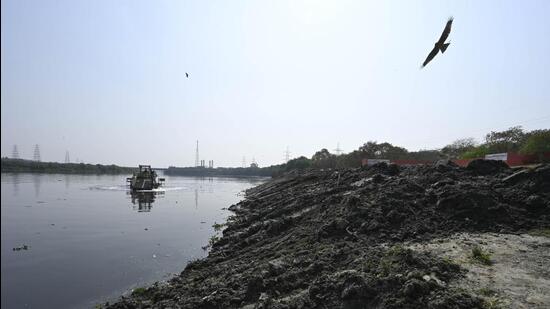 HC upholds DDA’s removal of plant nurseries from Yamuna floodplains
