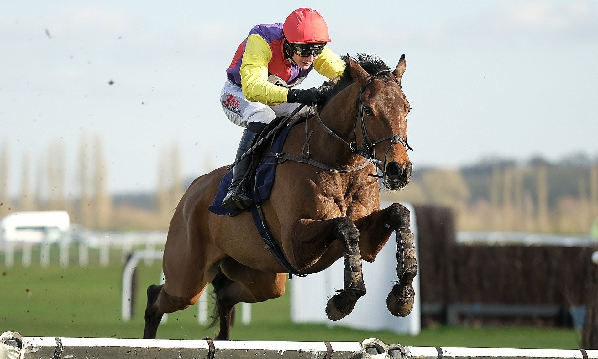 Robin Goodfellow's racing tips: Best bets for Tuesday, March 4