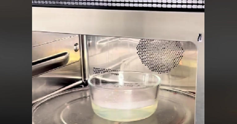 Here's Why You Should Never Heat Your Food in A Plastic Container ...