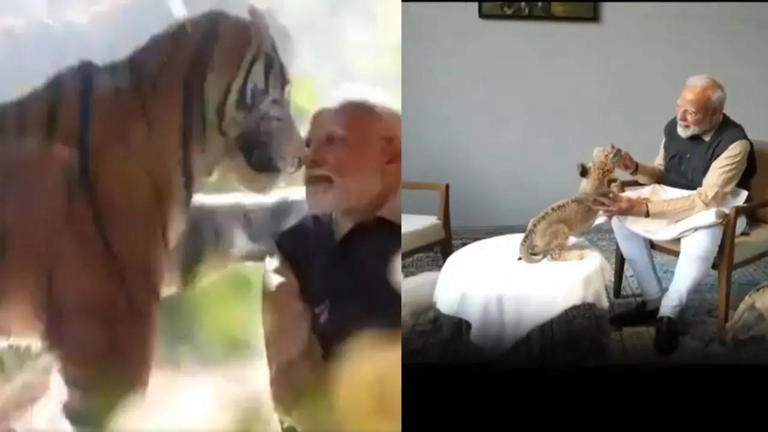 'Lion Meets Lion': PM Modi’s Heartwarming Moments With Rescued Animals ...