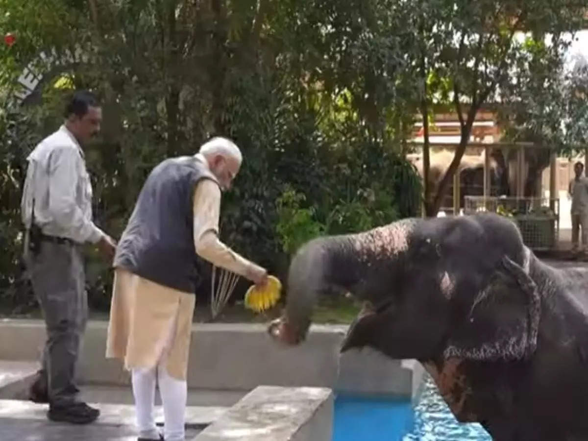 PM Narendra Modi inaugurates ‘Vantara’ in Jamnagar, Gujarat on World ...