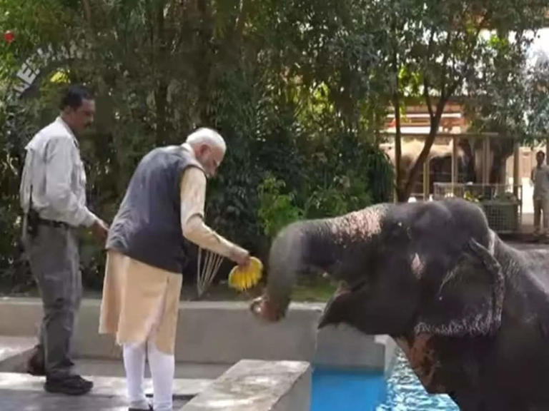 PM Narendra Modi inaugurates ‘Vantara’ in Jamnagar, Gujarat on World ...