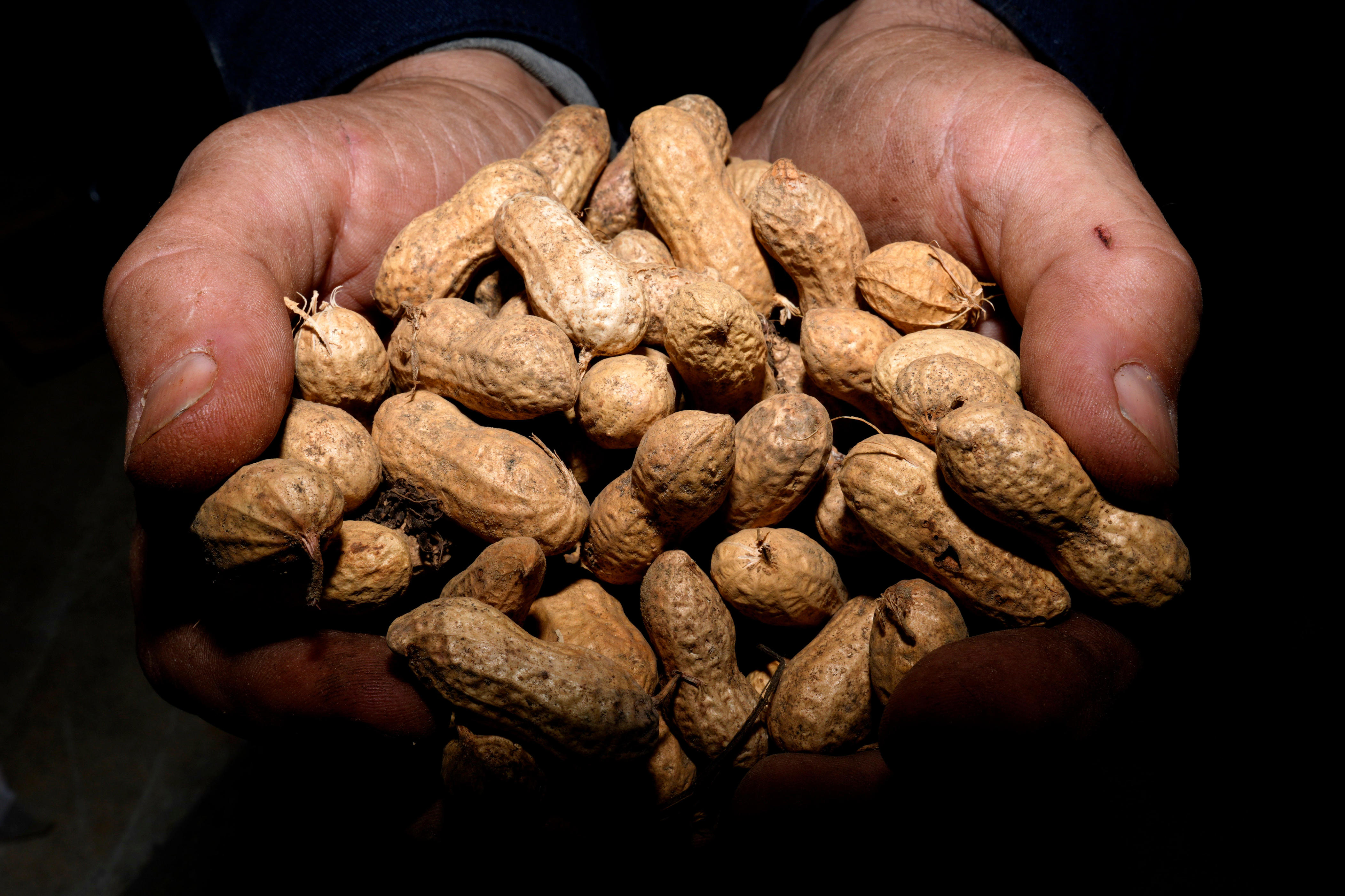 'I love peanuts': March is National Peanut Month and Georgia leads the ...