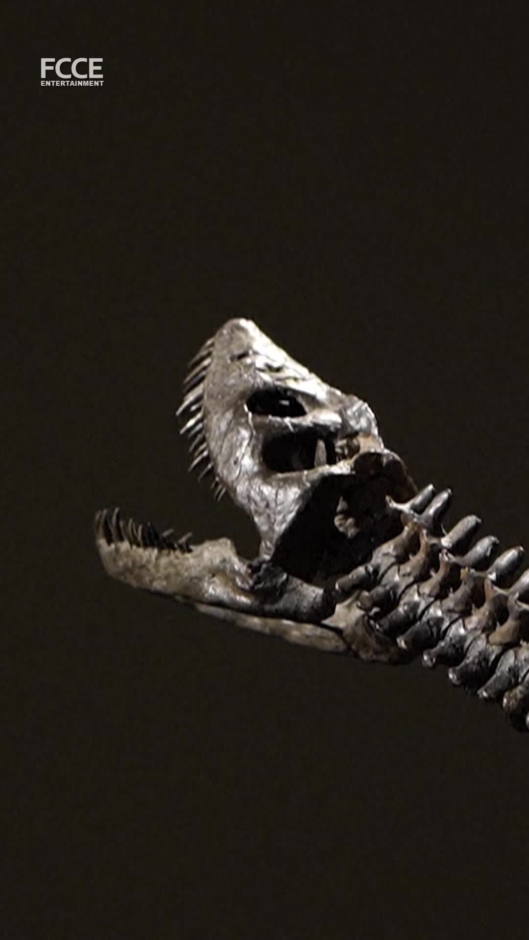 Rare dinosaur fossils auctioned at Sotheby’s