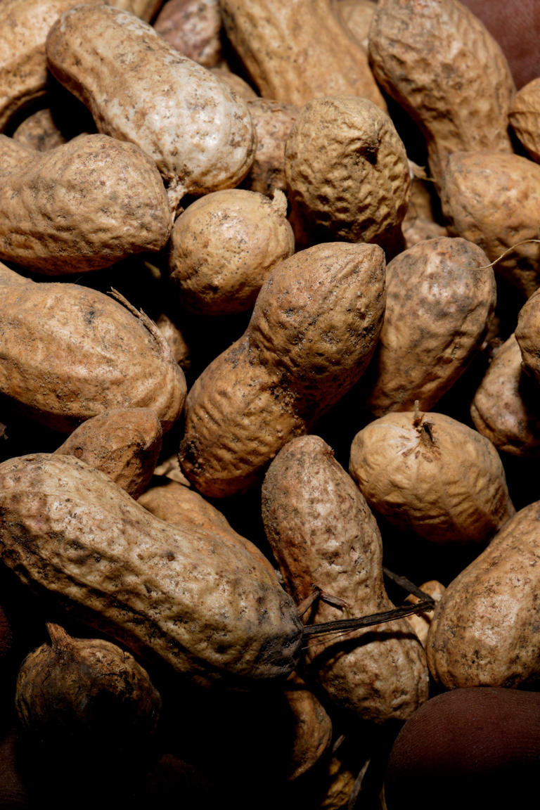 'I love peanuts': March is National Peanut Month and Georgia leads the ...