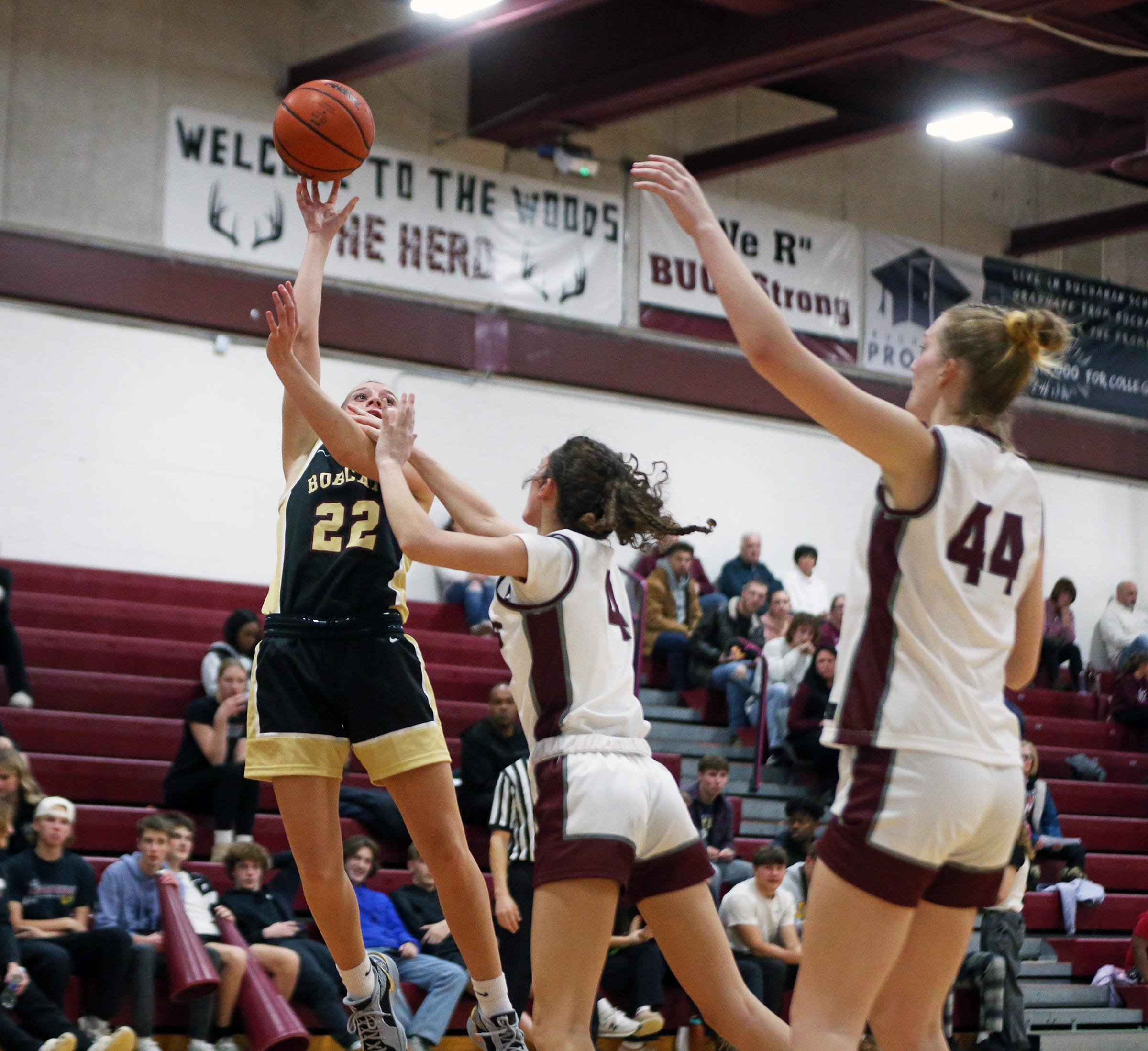 Brandywine, Edwardsburg girls basketball claim MHSAA district titles