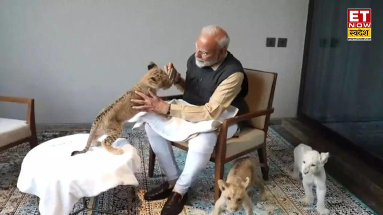 PM Modi in Vantara: अनंत अंबानी के साथ वनतारा की सैर, शेर के शावकों पर ...