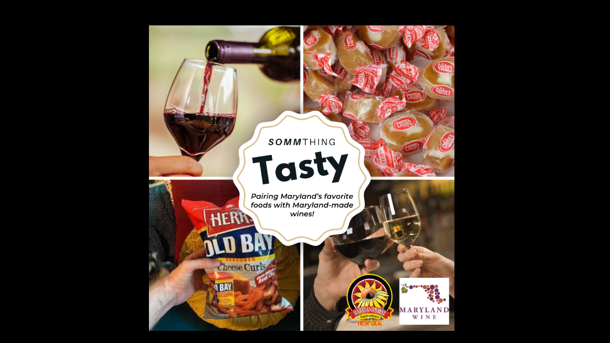 Sommthing Tasty Brings Maryland’s Best Wines and Foods Together.