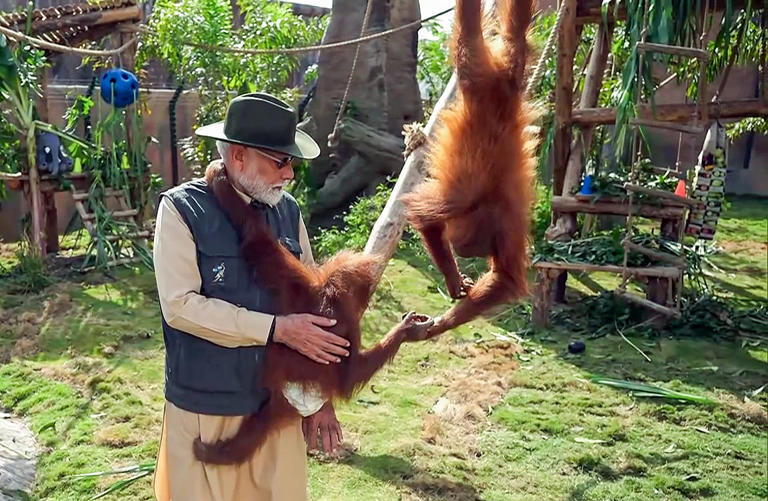 Photos: PM Modi inaugurates wildlife rescue and conservation centre ...