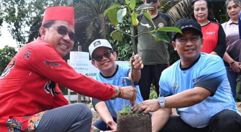 Pohon Integritas Ditanam di Lamandau, Simbol Pemilu Jujur