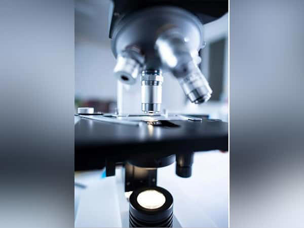 AI-powered microscopy breakthrough reveals hidden dynamics of ... AI-powered microscopy breakthrough reveals hidden dynamics of ...