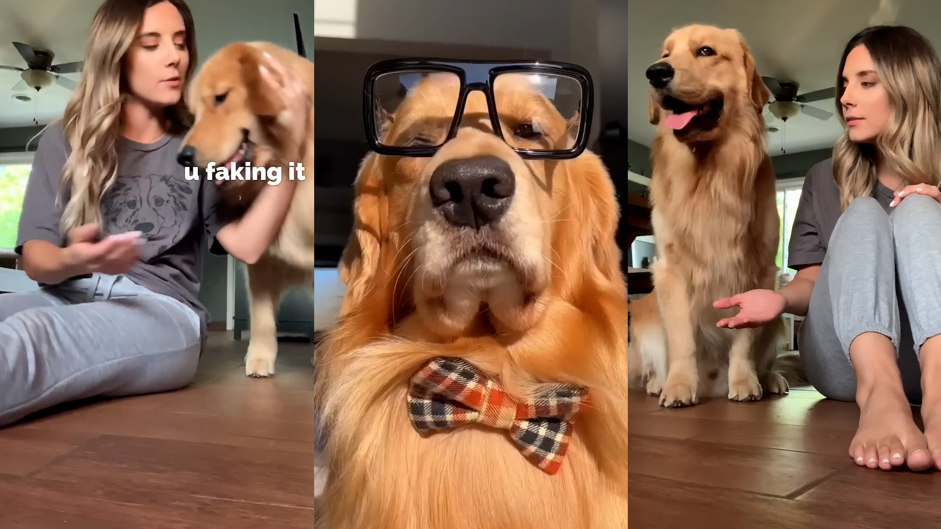 Funniest Dog Moments - Tucker's Best Compilation