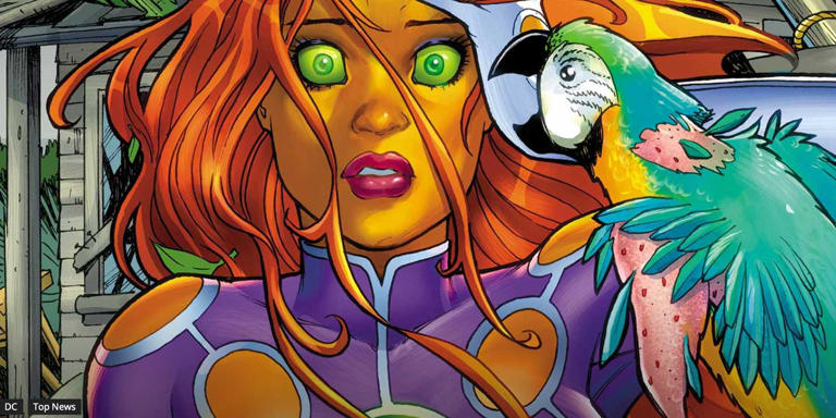 As Starfire Gears Up For an Overdue Comeback, DC Better Include the ...